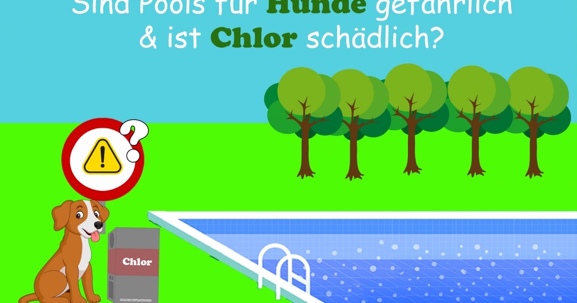 Freies Chlor, gebundenes Chlor und stabilisiertes Chlor (Überblick)