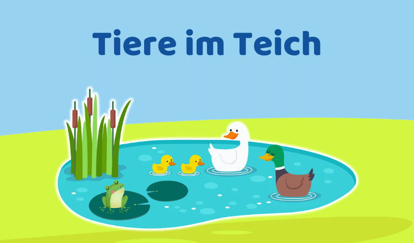 Tiere im Teich: Übersicht von Käfer, Molch, Fisch und Co.